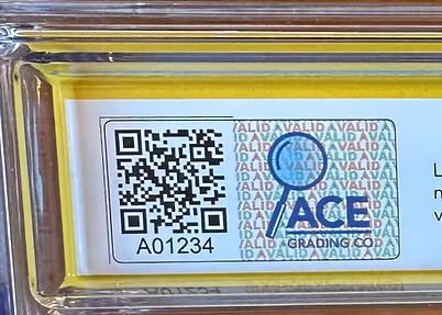 ACE Grading Company: Collector Friendly Professional Comic Book Grading ...